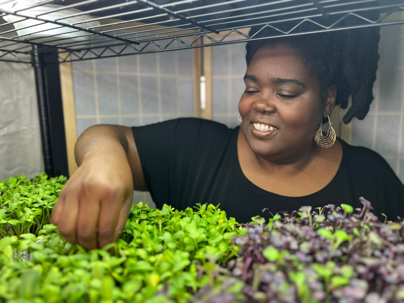 Baltimore’s First “Grow Well Vertical Farm” Launches at Langston Hughes ...